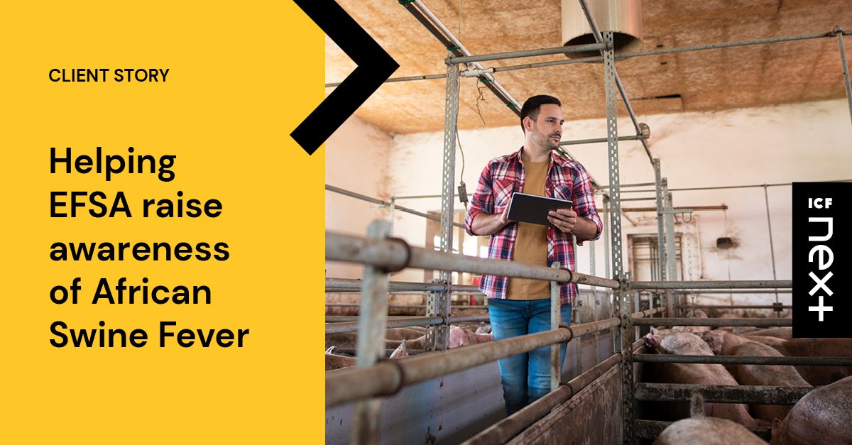 Helping EFSA Raise Awareness of African Swine Fever | ICF