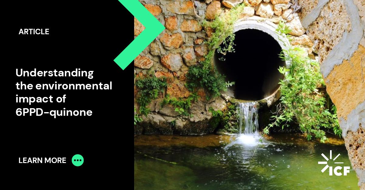 Environmental Impact of 6PPD-quinone in Stormwater Runoff | ICF