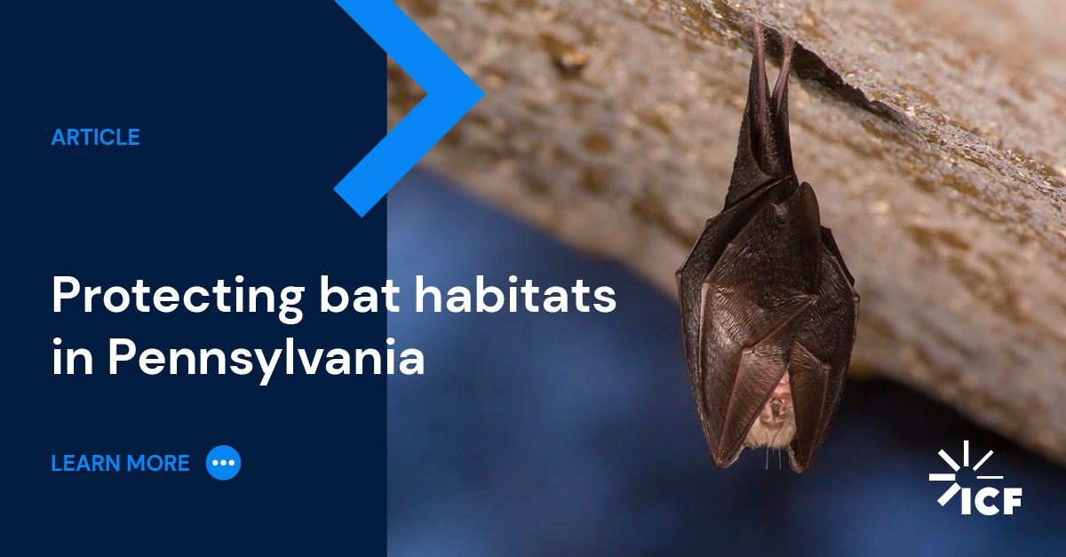 Protecting Bat Habitat in Pennsylvania | ICF