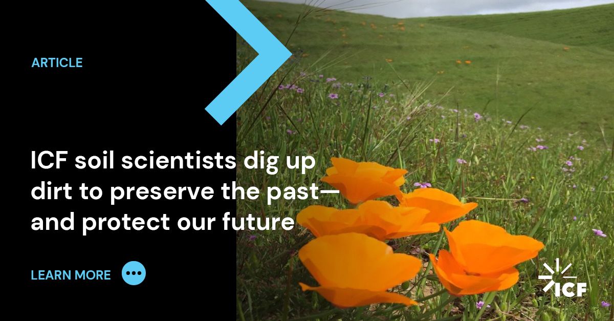 ICF Soil Scientists Dig Up Dirt to Preserve the Past—and Protect Our ...